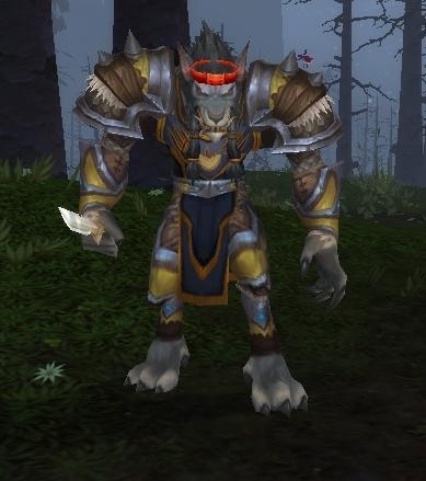 Comando huagen - PNJ - World of Warcraft
