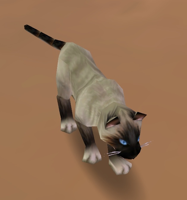 Cat Carrier (Siamese) - Item - Cataclysm Classic