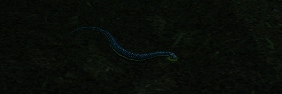 Snake - NPC - World of Warcraft
