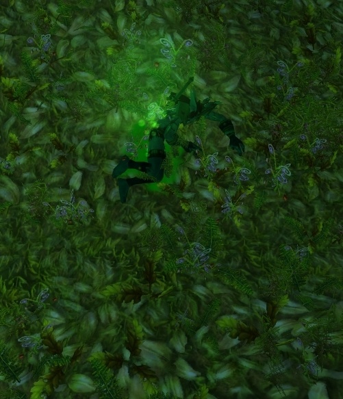Injured Bambala Headhunter - NPC - World of Warcraft