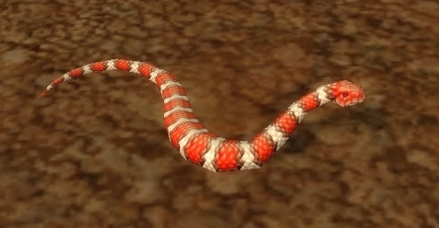 Coral Snake - NPC - World of Warcraft