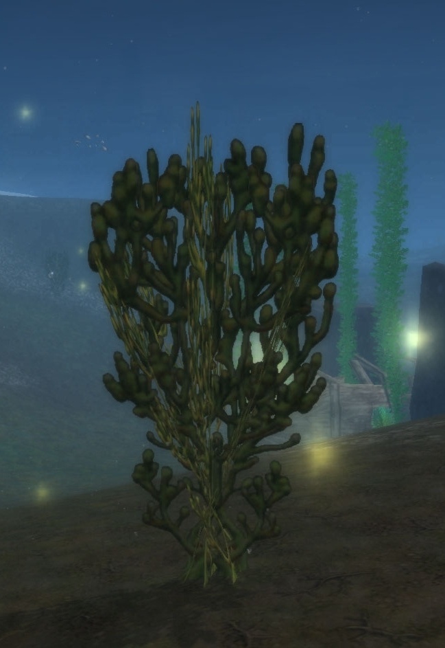 Water Plant - Object - World of Warcraft