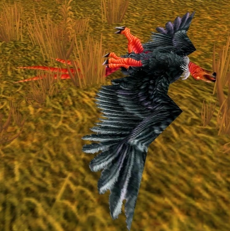 Trophy Swoop Quill - Item - World of Warcraft