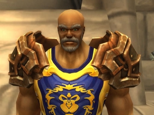 Stalwart Shoulderguards - Item - World of Warcraft