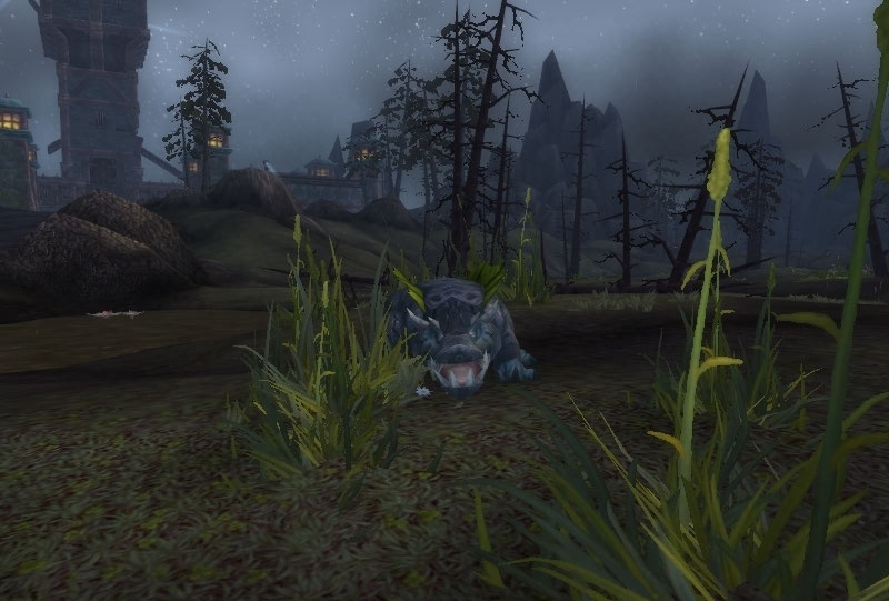 Swamp Bait - Quest - Cataclysm Classic