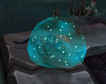 물거품 - 주문 - 대격변 클래식