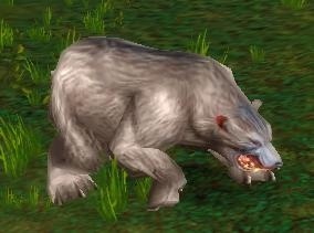 Oso gris viejo - PNJ - [Mists of Pandaria Classic]