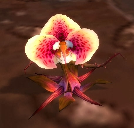 Ammen Vale Lashling - Item - World of Warcraft