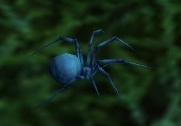 Forest Spiderling - NPC - Cataclysm Classic