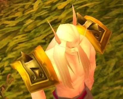 Strengthened Stockade Pauldrons - Item - Cataclysm Classic