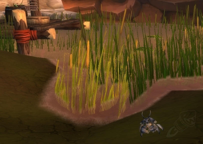 Muddy Crawfish - Item - Cataclysm Classic