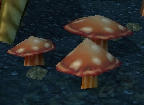 Forest Mushroom Cap - Item - World of Warcraft