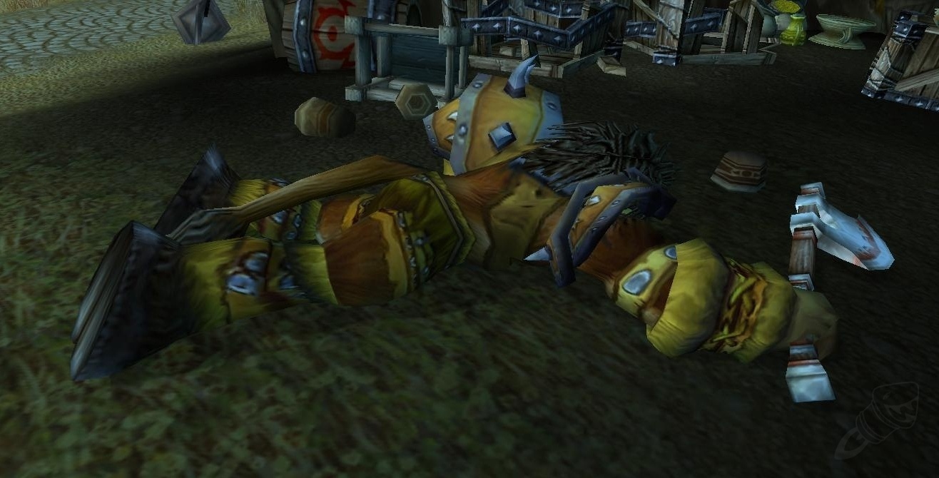 Guarda de Los Baldíos - PNJ - [Cataclysm Classic]