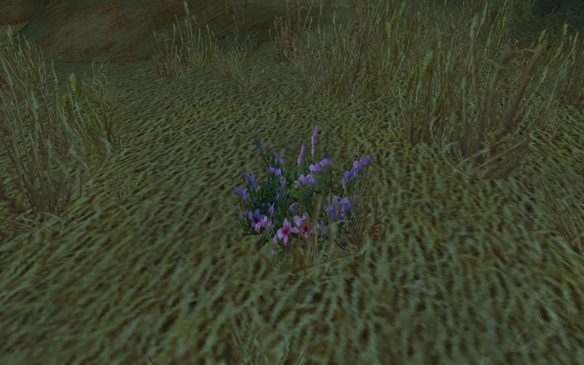 Mageroyal - Object - Cataclysm Classic