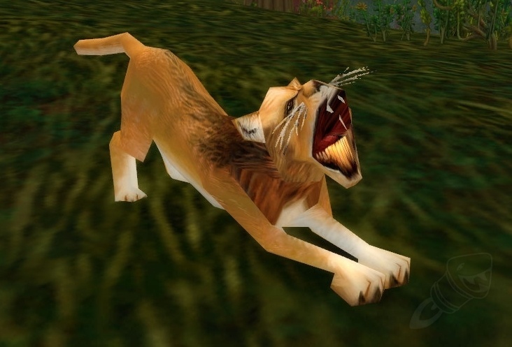 Cachorro de Araga - PNJ - World of Warcraft