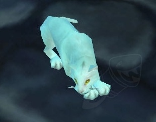 White Kitten - NPC - Cataclysm Classic