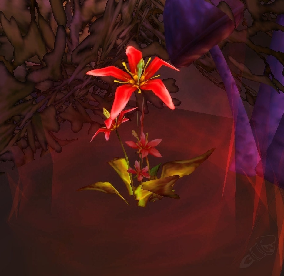 Hibiscus sanguin - Objet - World of Warcraft