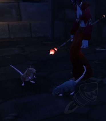 Corpse-Fed Rat - NPC - World of Warcraft