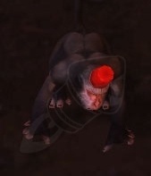 Darkmoon Monkey - Item - Cataclysm Classic