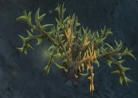 Goldthorn - Object - Cataclysm Classic