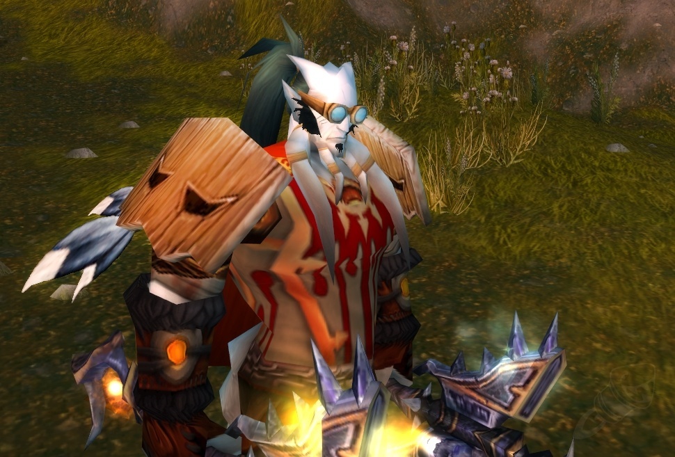 Highlander's Mail Pauldrons - Item - World of Warcraft