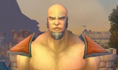 Reinforced Woolen Shoulders - Spell - World of Warcraft