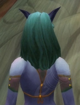 얼룩덜룩한 튜닉 - 아이템 - 대격변 클래식