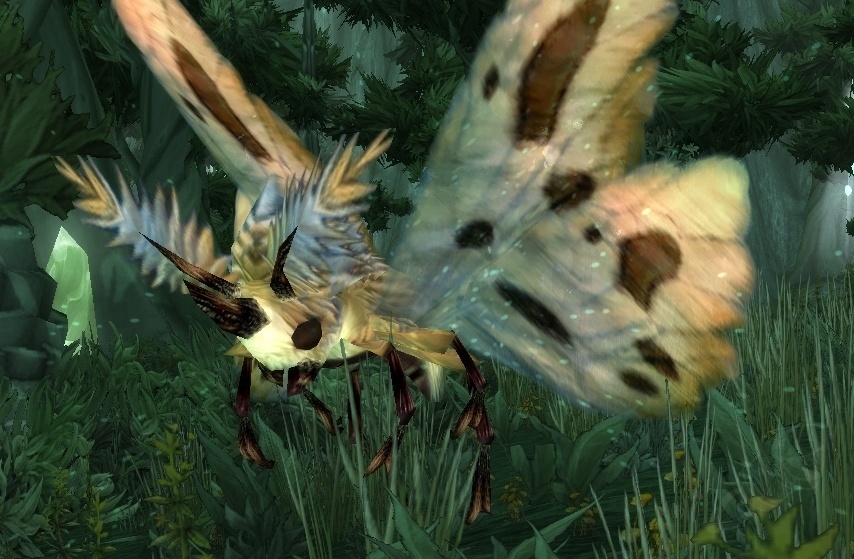 Teromoth - NPC - World of Warcraft