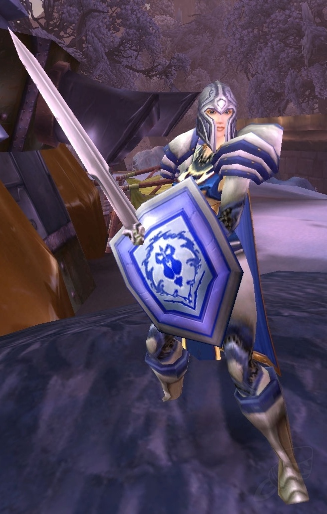 Valiance Expedition Champion - NPC - World of Warcraft