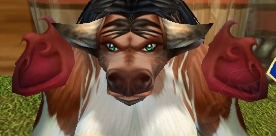 Consortium Mantle - Item - World of Warcraft