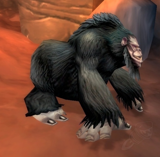 Konda - NPC - Cataclysm Classic