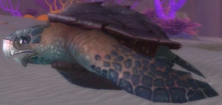 Seabrush Terrapin - NPC - World of Warcraft