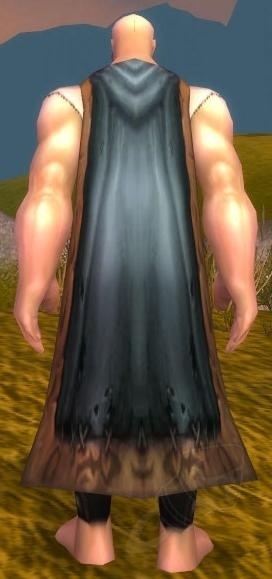Cloak of the Honor Guard - Item - Cataclysm Classic