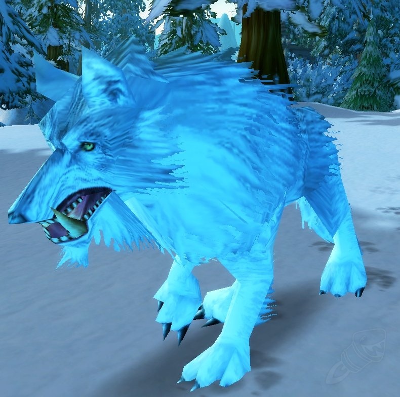 Lobo De Gelo Lobo Gelo Modelo Imagens Grátis No Pixabay