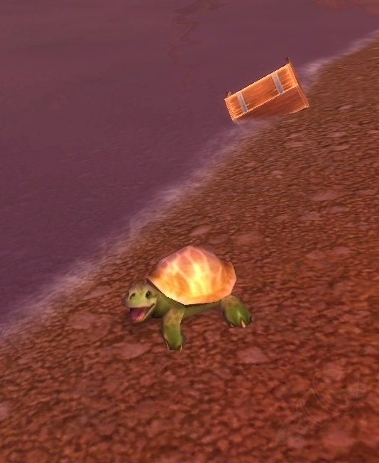 Turtle Box - Item - Cataclysm Classic