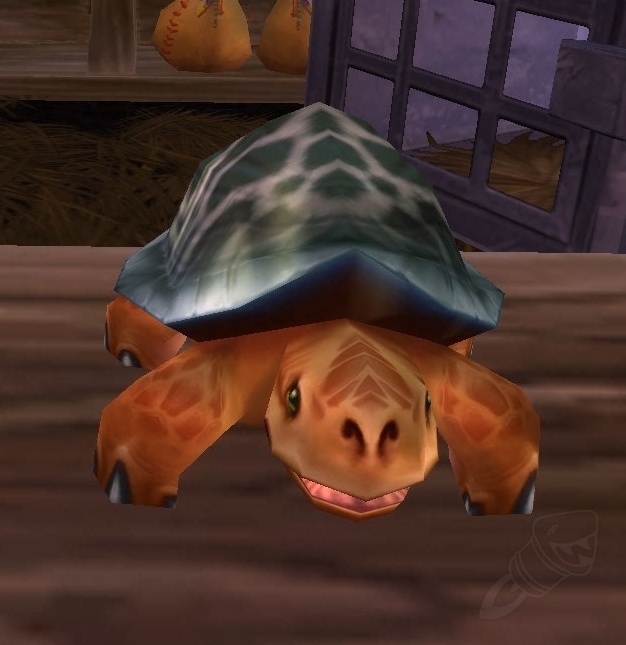 Turtle Wow
