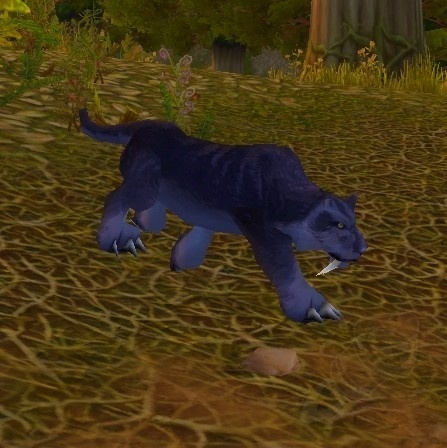 Panther - NPC - Cataclysm Classic