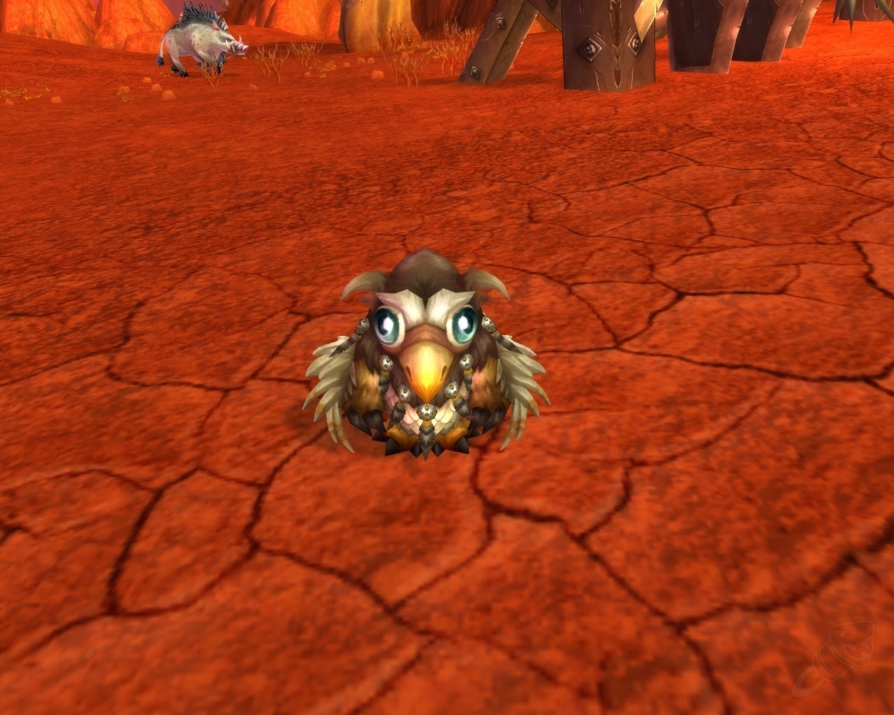 Moonkin Egg - Item - Cataclysm Classic