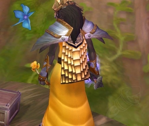 Wrap of the Great Turtle - Item - Cataclysm Classic