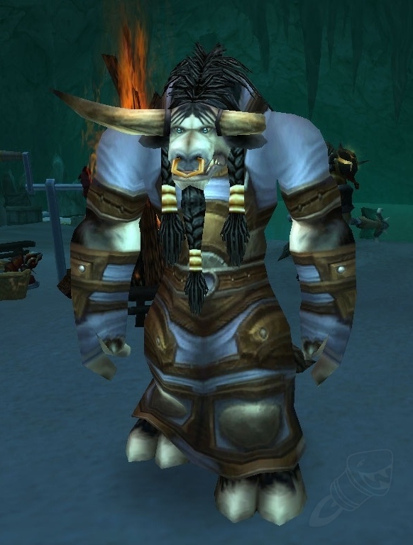Earthmender Duarn - NPC - Mists of Pandaria Classic