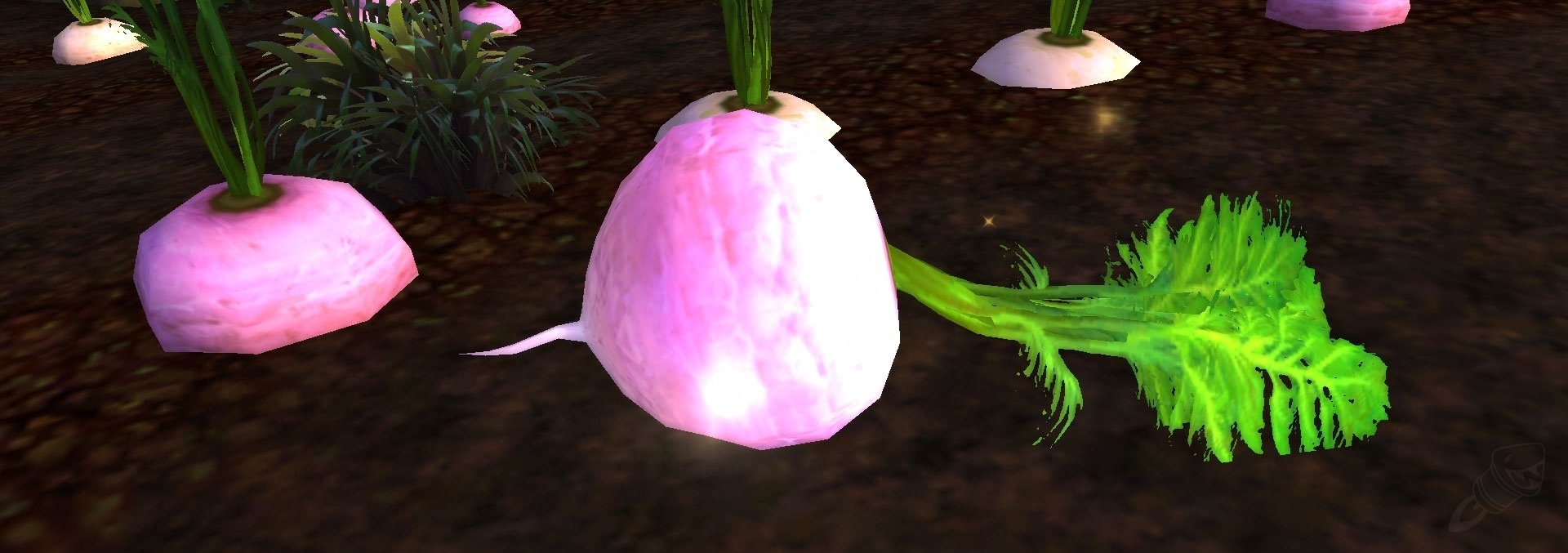 Uprooted Turnip - Item - Mists of Pandaria Classic