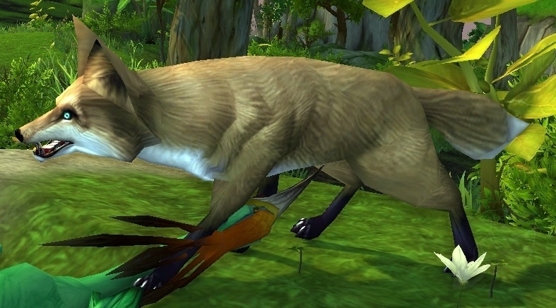 Cacciatrice di Gru - PNG - World of Warcraft