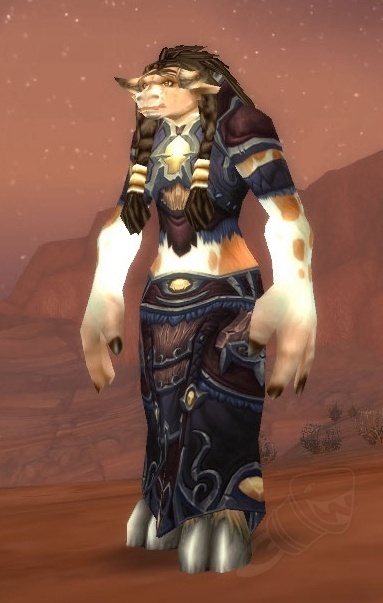 Ruthless Gladiator's Dragonhide Robes - Item - World of Warcraft