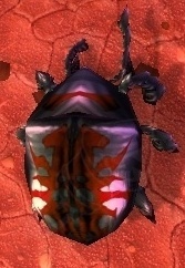 Cursed Scarab - NPC - Mists of Pandaria Classic