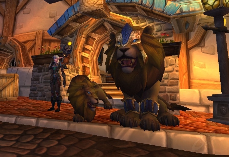 Rey dorado - PNJ - [Cataclysm Classic]