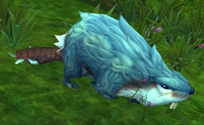 Did you know?! - Page 2 - General Discussion - World of Warcraft Forums
