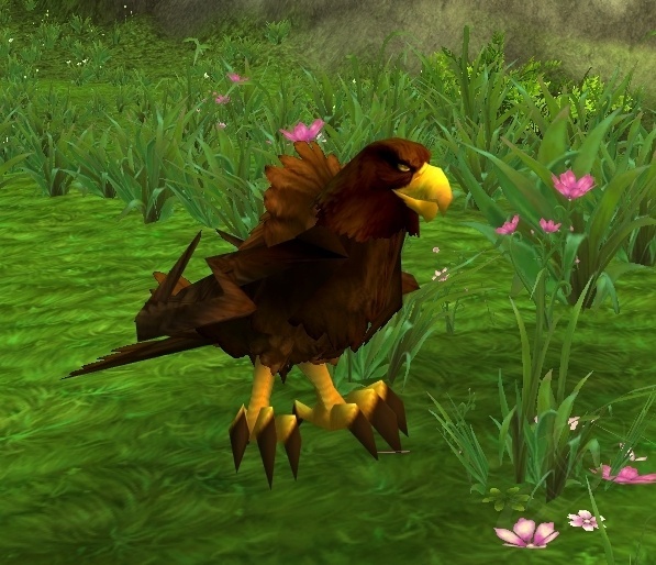 Furious Fowl - Quest - 11.2.5 PTR