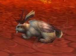 Wolpertinger's Tankard - Item - Cataclysm Classic