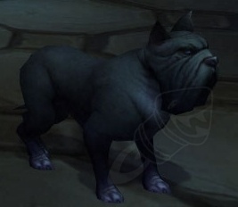 Can famélico - PNJ - World of Warcraft