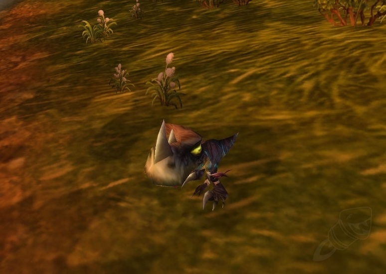 Obsidian Hatchling - Item - Cataclysm Classic